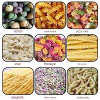 China Electric Industrial Pasta Machine for High Production of Hollow Tube Noodles 100kg/H for sale