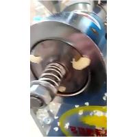 China Customizable Pasta Macaroni Food Make Machine for Final Product According to the Mold for sale