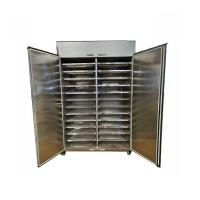 China Food Beverage 800 KG Capacity Air Energy Drying Machine for Small Fruit Vegetable for sale