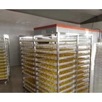 China Food Dryer Box Type Hot Air Circulation Drying Equipment for Fruits and Vegetables for sale