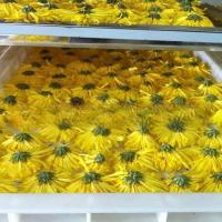 China Food Dryer Box Type Hot Air Circulation Drying Equipment for Fruits and Vegetables for sale