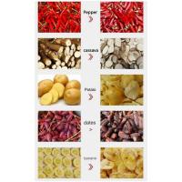 China Multifunction Fruit Dryer for Food Beverage Factories in Need of Drying Solutions for sale