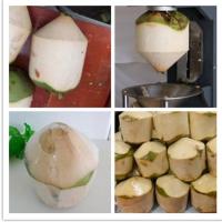 China Electric Peeler Machine for Coconut Peeling in Southeast Asia Beverage Shops and Restaurants for sale
