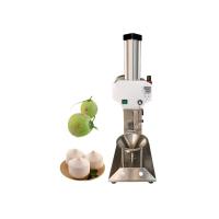 China Advanced Coconut Peeling Equipment Capacity 300kg/h for Large and Small Coconuts for sale