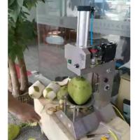 China Advanced Coconut Peeling Equipment Capacity 300kg/h for Large and Small Coconuts for sale