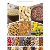 China Easy-to-Clean Stainless Steel Body Multi-Stage Oil Press for Edible Oil Production for sale