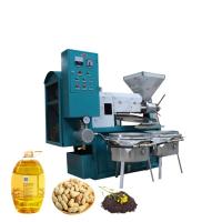 China Stainless Steel Body Sunflower Oil Pressing Machine for Easy Cleaning and Maintenance for sale