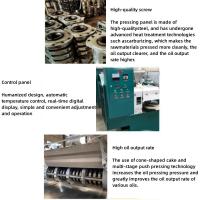 China Stainless Steel Body Sunflower Oil Pressing Machine for Easy Cleaning and Maintenance for sale