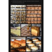 China 64 Rotary Bread Bakery Equipment Stainlee Steel Hot Air Circulation Convection Oven for sale