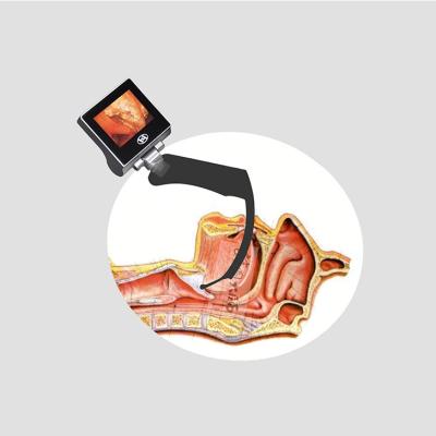 China 3 Blade Video Laryngoscope 3 Inch Touch Color Screen Pediatric Adult Intubation 2MP Camera for sale