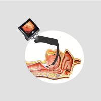 China Reusable Video Laryngoscope 1280x720 HD Display 3.0 Inch LCD 3400mAh Battery for sale