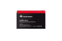 China 6-DZF-12 E Bike Lead Acid Battery 12v 12ah 151*99*98MM ABS shell for sale
