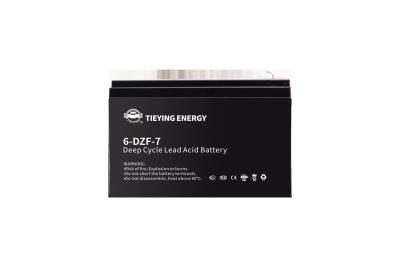 China Oxygen Pump Lead Acid Battery 6-Dzf-7 E-Spraying For EPS And UPS Battery Backup for sale