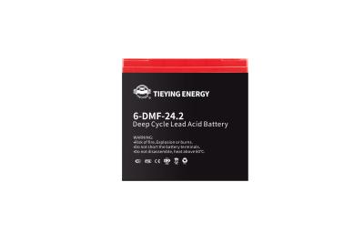 China 12v 24ah Best Lead Acid Battery For Ebike 6-DMF-24 ISO9001 ISO14001 for sale
