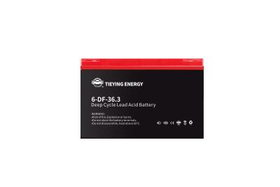China 36.3Ah 12v Lead Acid Battery OEM 6-DF-36.3 FOR E-Motorcycle 450times Sealed Lead Acid Battery for sale