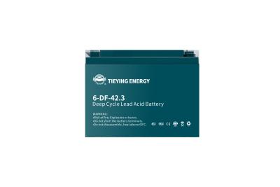 China Electric Tricycle Rechargeable 12v Lead Acid Battery 42.3Ah 6-DF-42.3 for sale