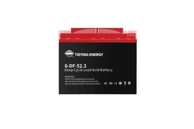 China Electric Tricycle Rechargeable Lead Acid Battery 6-DF-52.3 12V 52.3Ah 215*121*174MM for sale