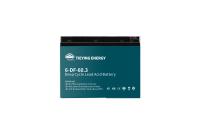 China CE SDS Rechargeable 6-DF-60 Lead Acid Batteries For Sale 60Ah Electric Tricycle 15.18+-0.2kg for sale