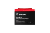 China Solar Energy Storage 65Ah Rechargeable Deep Cycle Lead Acid Battery 6-DF-65 222*148*174MM 15.8+-0.2kg for sale