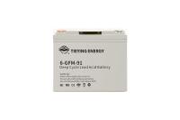 China 91Ah 12V Lead Acid Golf Trolley Battery 6-GFM-91 FOR Golf Car Forklift for sale
