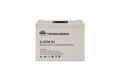 China 91Ah 12V Lead Acid Golf Trolley Battery 6-GFM-91 FOR Golf Car Forklift for sale