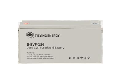 China 6-EVF-156 Golf Cart Lead Acid Battery 12V 156Ah ISO9001 ISO14001 for sale
