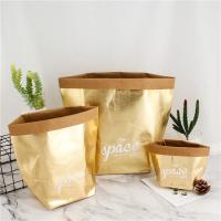 China Manufacturer Wholesale Creative Nordic-Style Washable Kraft Paper Bags Tear-Resistant Refrigerator Storage Bags Flower Pots for sale