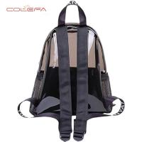 China Black Transparent Backpack Modern Style Fashion Waterproof PVC Jelly Backpack Summer Travel Beach Commuting Bag with Logo for sale