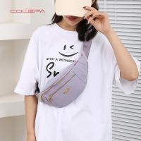 China Custom Waist Bag for Women 2026 New Model Phone Pouch Large Capacity Waist Bags Outdoor Sports Running Multi-Functional Bag for sale