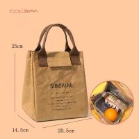 China Custom Picnic Bag for Office Workers & Elementary Students Waterproof Thickened Japanese-Style DuPont Paper Insulated Lunch Bag for sale