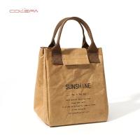 China Custom Picnic Bag for Office Workers & Elementary Students Waterproof Thickened Japanese-Style DuPont Paper Insulated Lunch Bag for sale