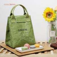 China Custom Picnic Bag for Office Workers & Elementary Students Waterproof Thickened Japanese-Style DuPont Paper Insulated Lunch Bag for sale