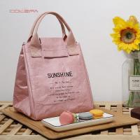 China Custom Picnic Bag for Office Workers & Elementary Students Waterproof Thickened Japanese-Style DuPont Paper Insulated Lunch Bag for sale