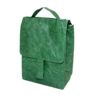 China Eco-friendly Dupont Picnic Cooler Bag Waterproof Tyvek Paper Insulated Lunch Bag for sale