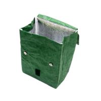 China Eco-friendly Dupont Picnic Cooler Bag Waterproof Tyvek Paper Insulated Lunch Bag for sale