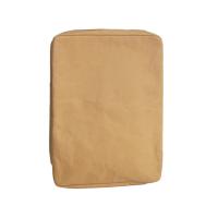 China Carrying Washable Paper Backpack Simple Design Brown Kraft Paper Backpack for sale