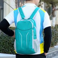 China Colefa Waterproof Nylon Air Cushion Shoulder Strap Casual Travel Storage Hiking Outdoor Ultra Light Foldable Sports Backpack for sale