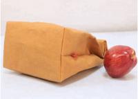 China Reusable Insulated Lunch Cooler Bag Washable Kraft Paper Snack And Sandwich Bags for sale