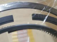 China EG100 EF550 NPR Piston Rings 13011-1131 13011-1131B 13011-1460 For HINO Engine Parts for sale