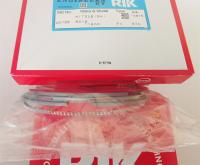 China Mitsubishi Diesel Engine RIK Piston Rings 6D16 ME047030 for sale