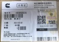 China Cummins 4BT5.9 4D102 Oil Pump 4939585EA  Engine Bearing And Liner Piston for sale