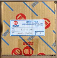China Nissan Genuine Piston 12010-54T00 For Optimal Engine Performance for sale
