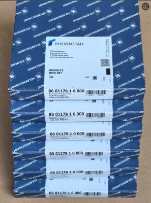 China Strength Silver Power Transmission Rings / Piston Rings For Optimized Engine Efficiency VOLVO TAD1641 3886753  03890NO for sale
