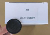 China Nissan H15 Engine Model Steel Valve And Guide for sale