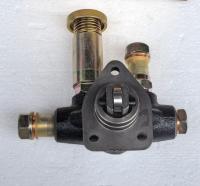 China China Plunger 8DC9 105210-1931  For Automotive for sale