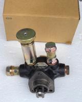 China China Plunger 8DC9 105210-1931  For Automotive for sale