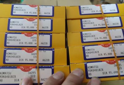 China Komatsu 6D140 6211-31-2031 6D95 6207-31-2500 6D108 6221-31-2200 6D155 6128-31-2060 Piston Ring for sale