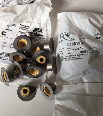 China Cummins 6D107 Valve oil seal 3955393 for sale