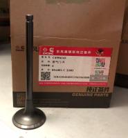 China Komatsu 6BT5.9 4BT VALVE 4994143 4995554 DCEC GENUINE PARTS for sale
