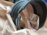 China Komatsu PC200-6 Excavator 6D95-6 Engine Piston Ring Kit 6209-31-2400 | High-Strength Steel Construction for sale